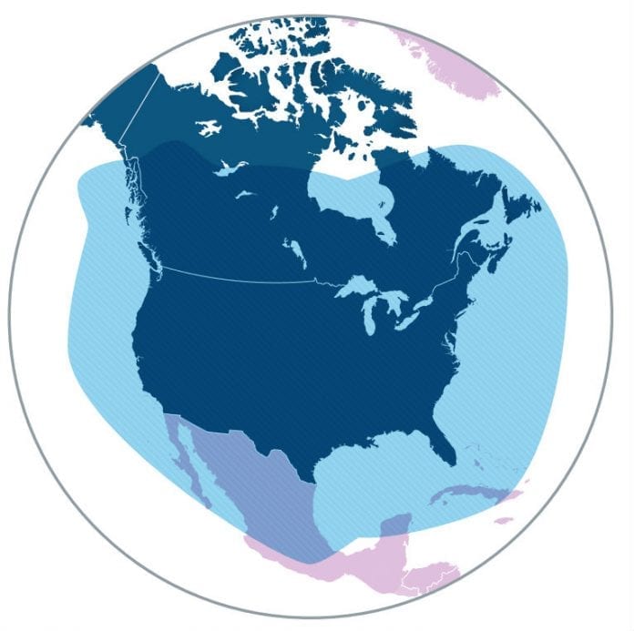 SiriusXM Aviation Receiver brings satellite weather to ForeFlight ...