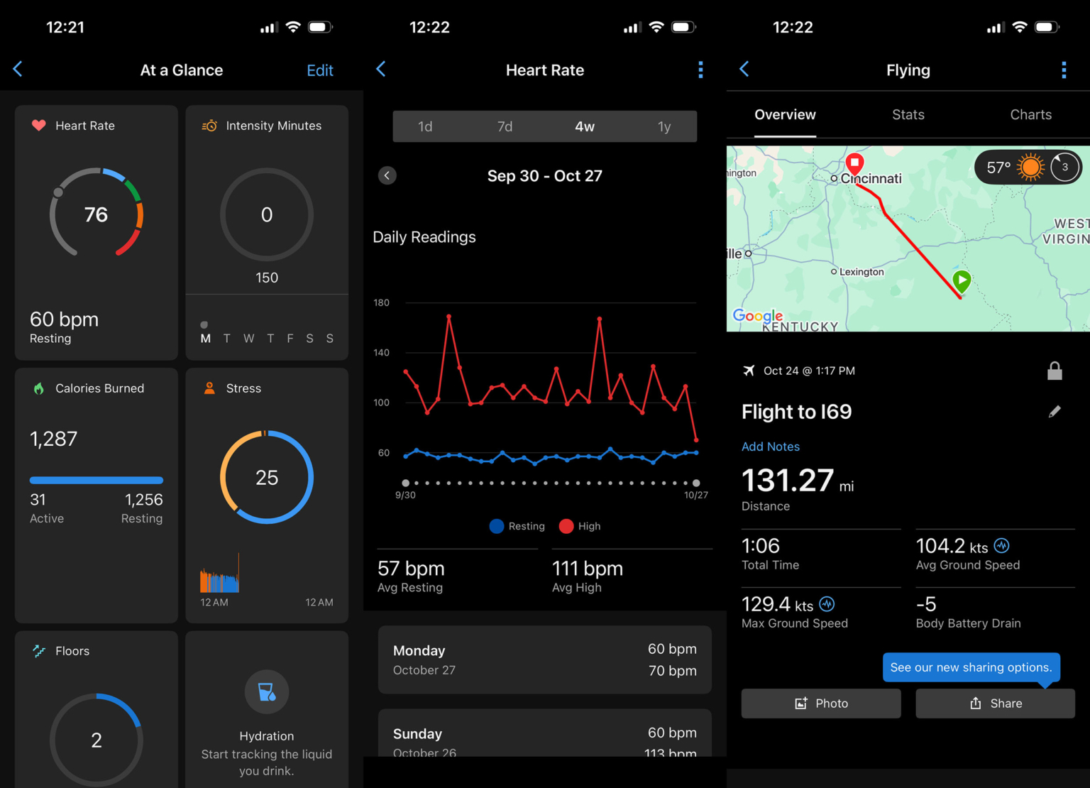 Flying with the Garmin D2 Mach 2 and D2 Air X15 - iPad Pilot News